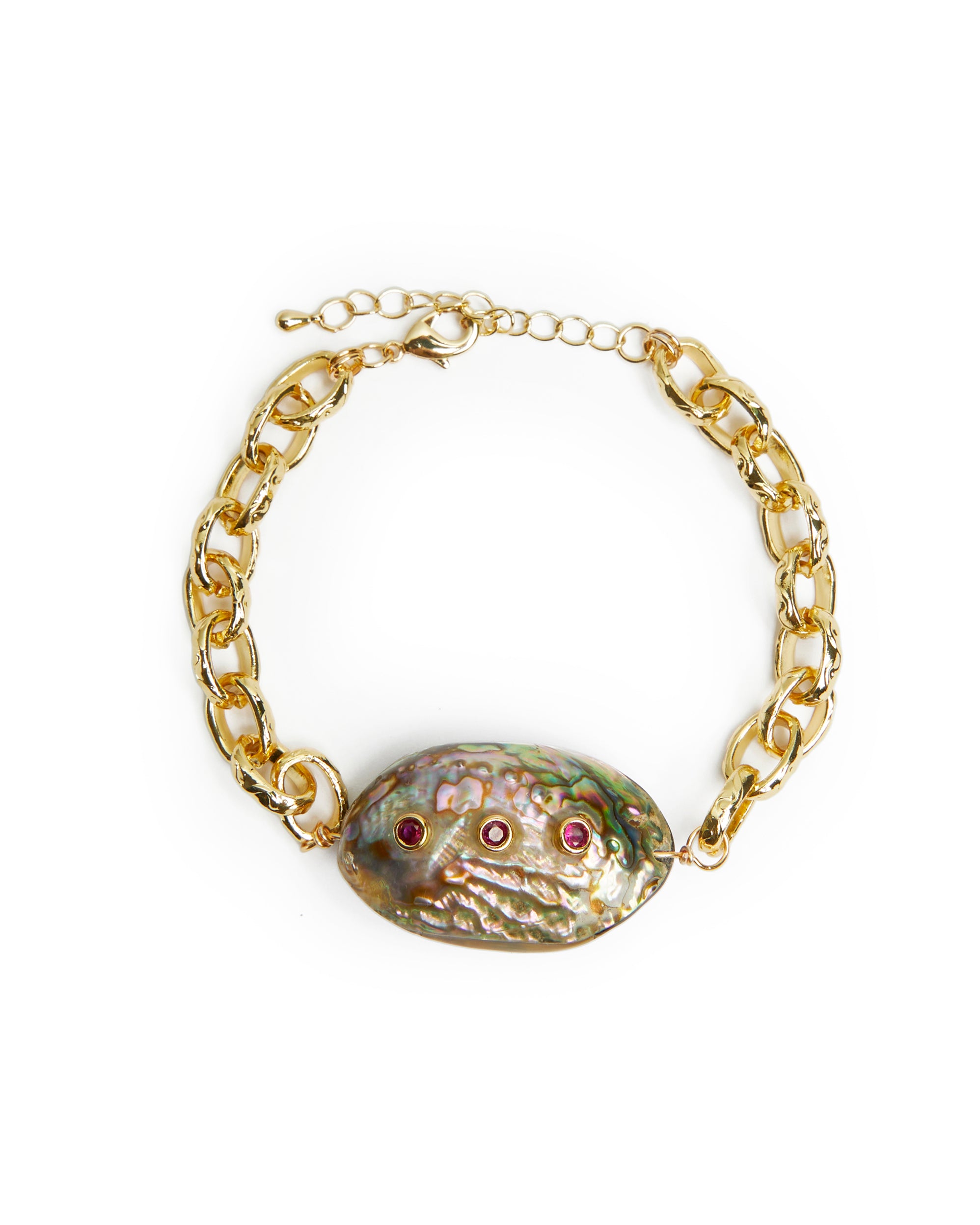 HI ABALONE – Stella e Luce